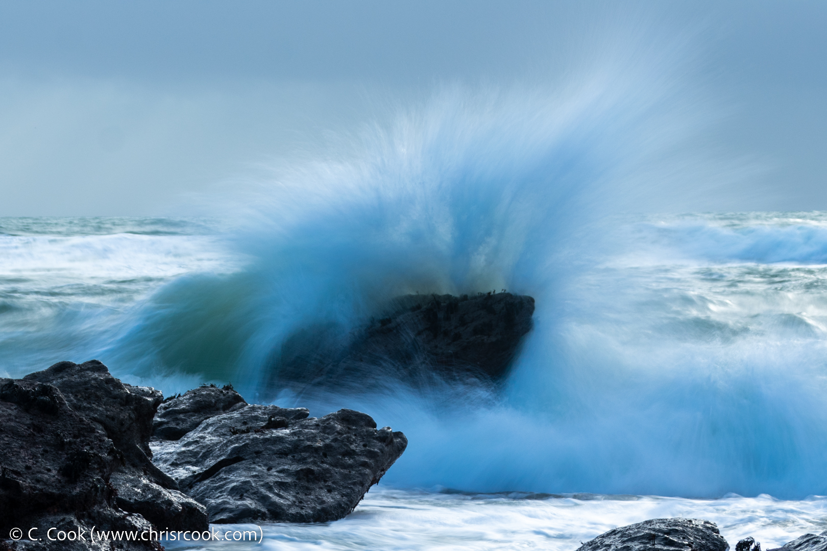 Cornwall-Spring-2022-60 – www.chrisrcook.com
