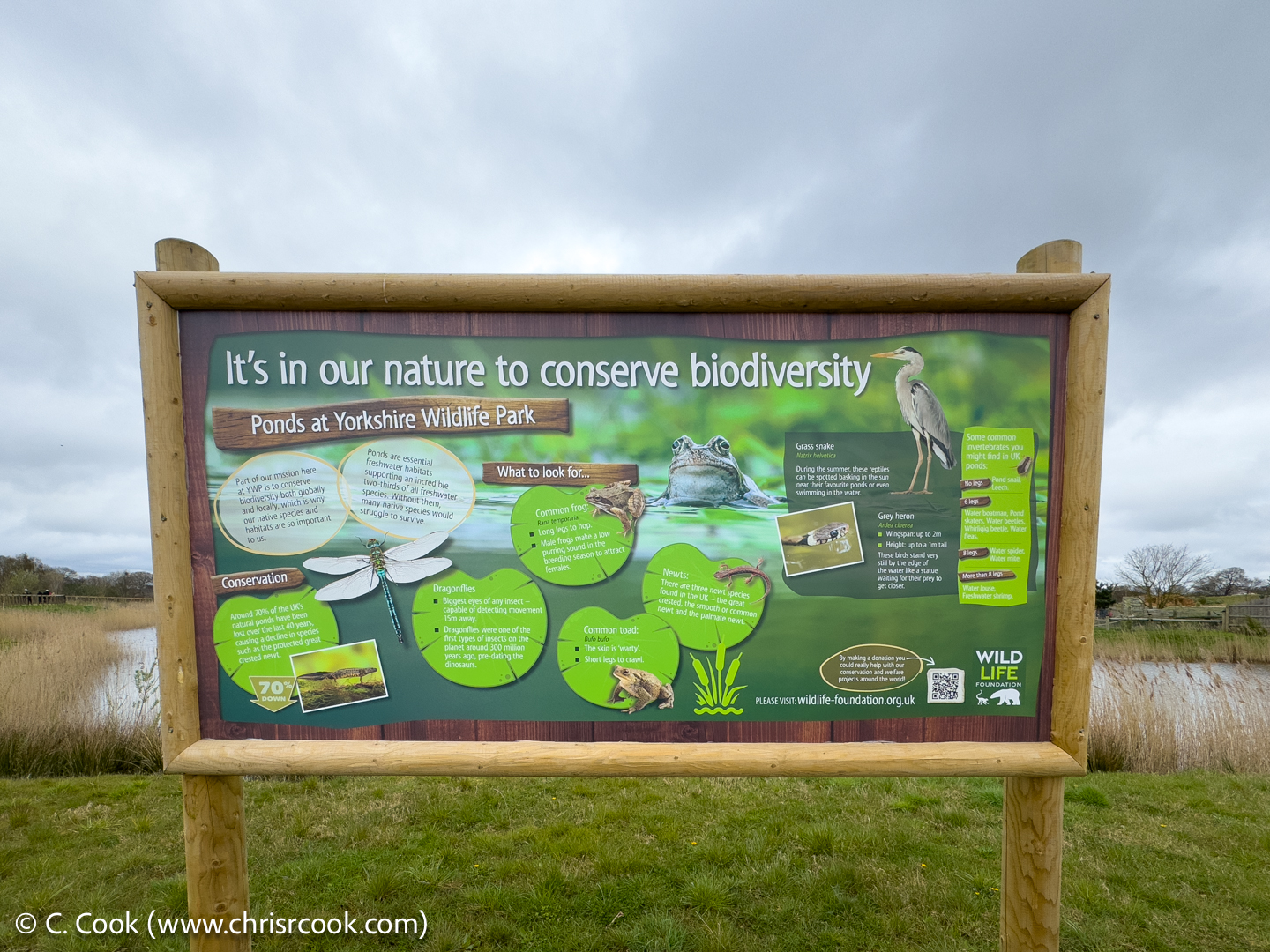 The Yorkshire Wildlife Park Expansion – An Early 2024 Update – www ...